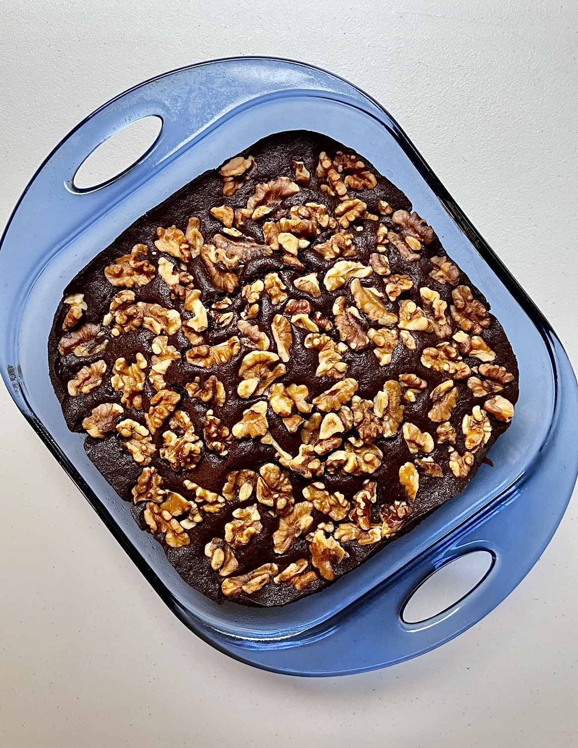 Chocolate Walnut Cake - Dang That's Sweet