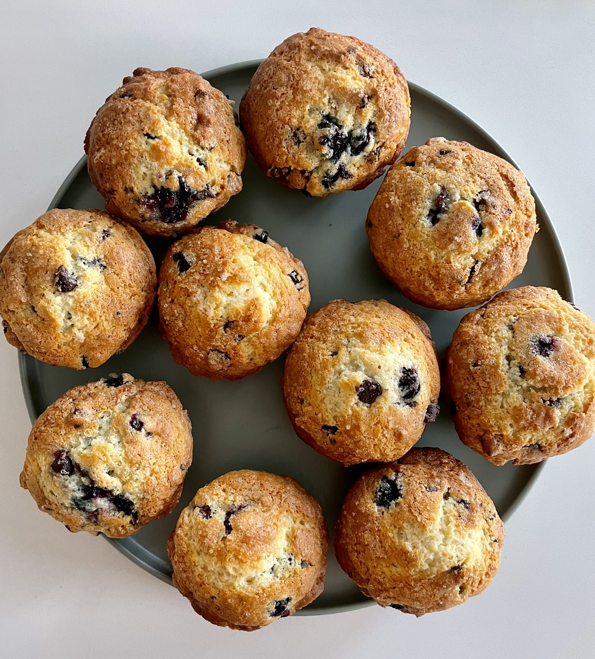 Blueberry Chocolate Chip Muffins - Dang That's Sweet