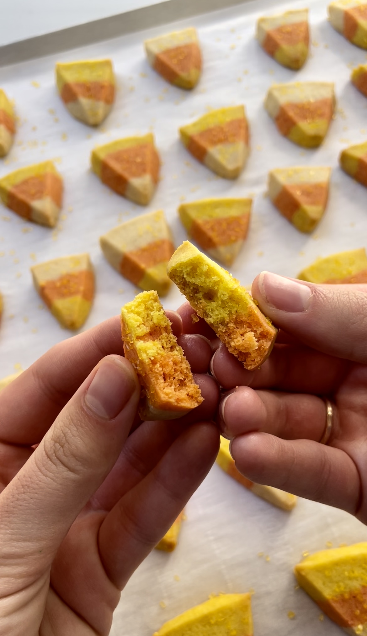 Halloween Shortbread Cookies - Dang That's Sweet