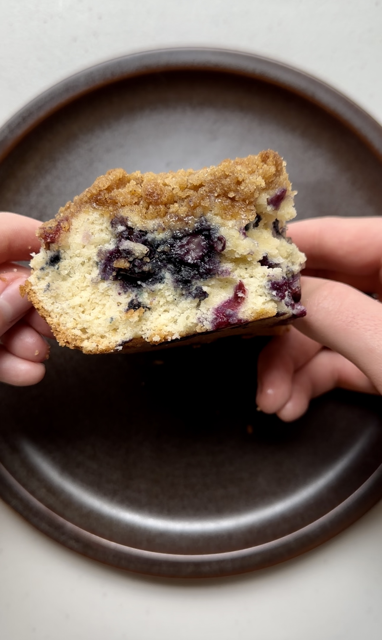Blueberry Crumb Cake - Dang That's Sweet