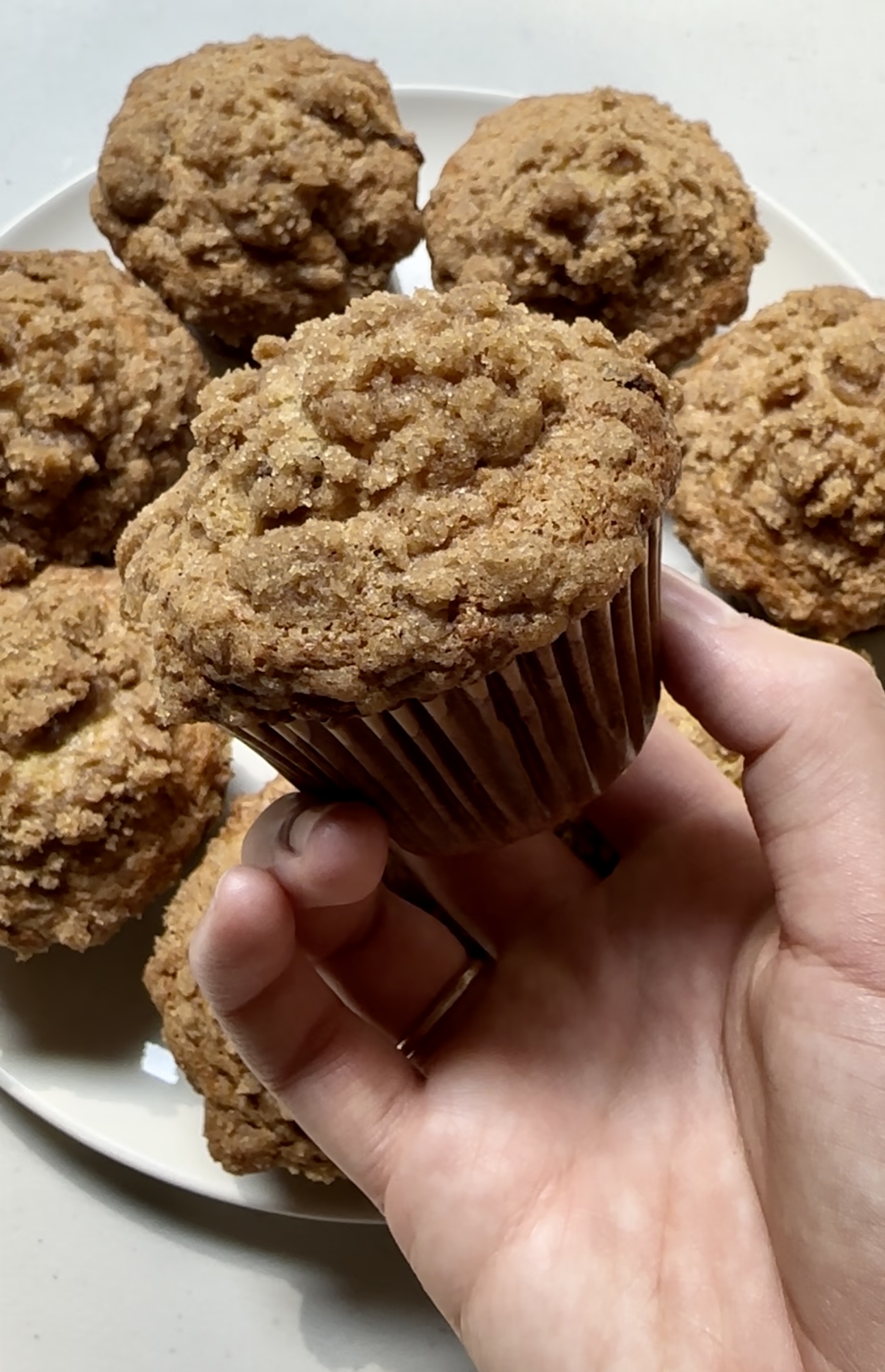 Banana Chocolate Chip Streusel Muffins - Dang That's Sweet
